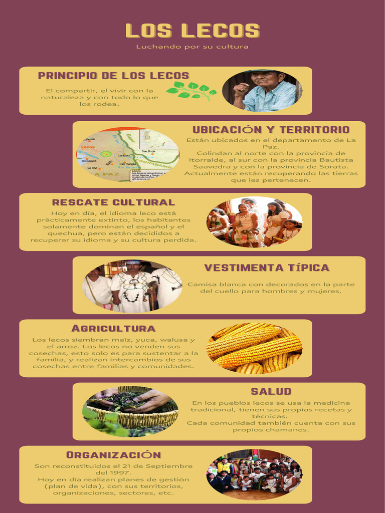 Infografía Los Lecos | PDF