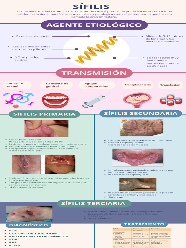 Características de la Sífilis y su Transmisión | PDF | Ciencias de la ...