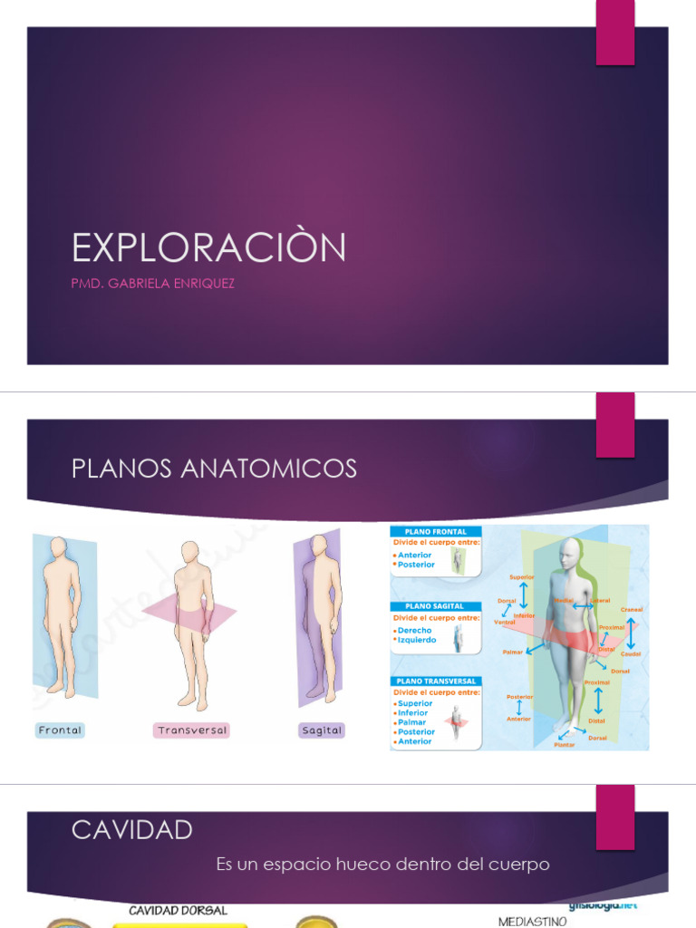 Exploracion Aph h y m | PDF
