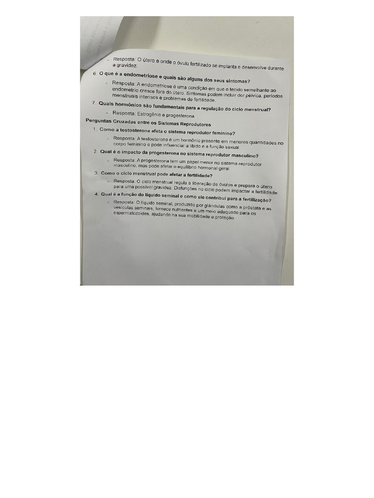 Design sem nome_20240918_104557_0000 | PDF