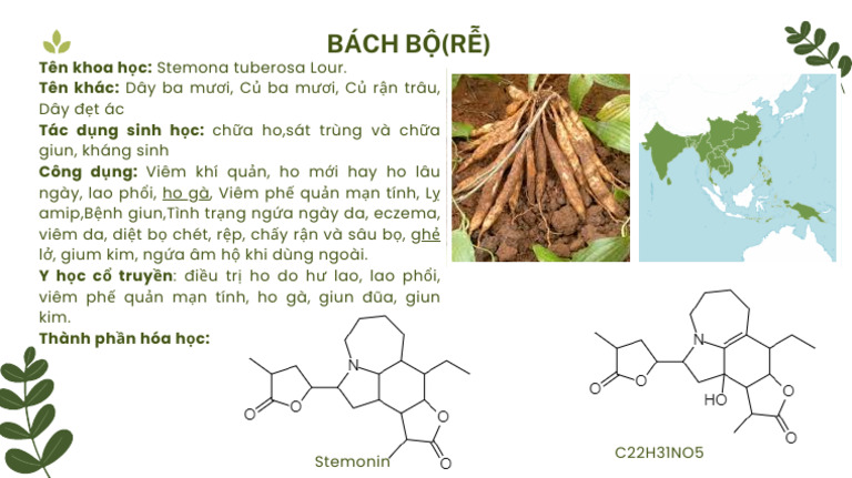 Green Modern Bold Nature Presentation | PDF