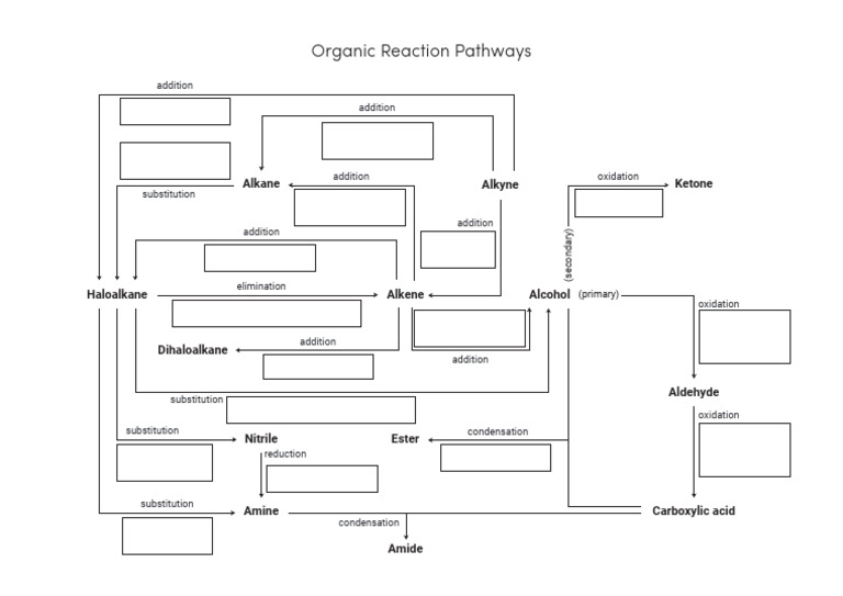 Organic Chemistry Reaction Pathways Guide | PDF