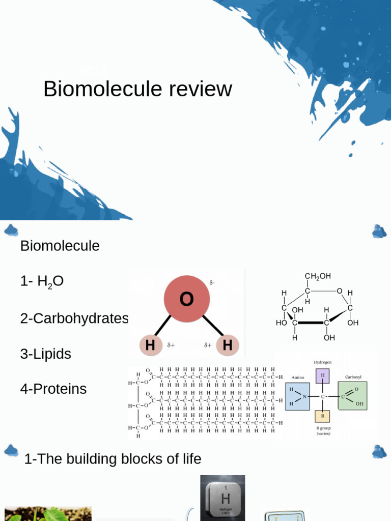 Biomolecule Summary | PDF