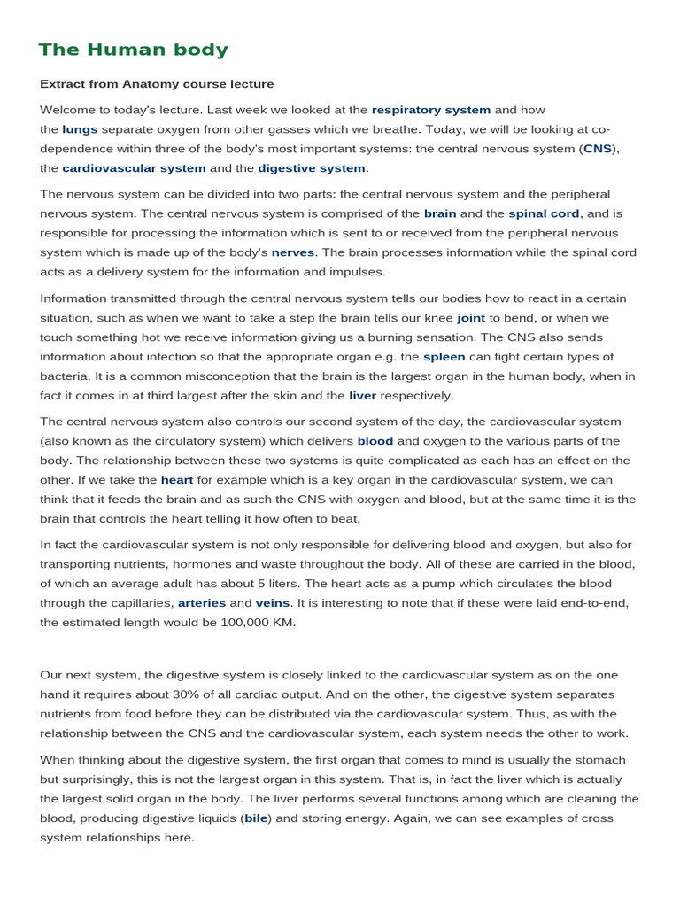 1 The Human Body Exercises | PDF | Central Nervous System | Heart