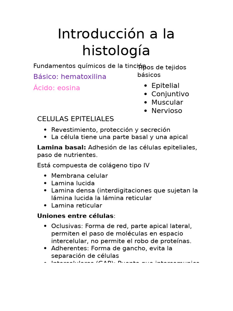 Introduccion A La Histologia - Tejido Epitelial | PDF | Epitelio | Microscopía