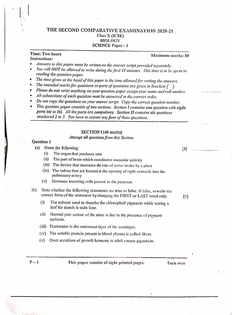 Comparative 2 Paper 2020,2019 | PDF
