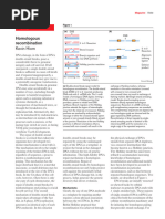 Holliday Model of Homologous Recombination | PDF | Dna | Base Pair