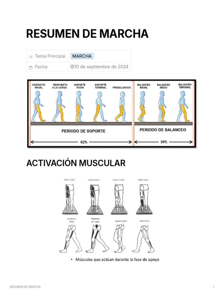 RESUMEN_DE_MARCHA | PDF | Tejido suave | Anatomía humana