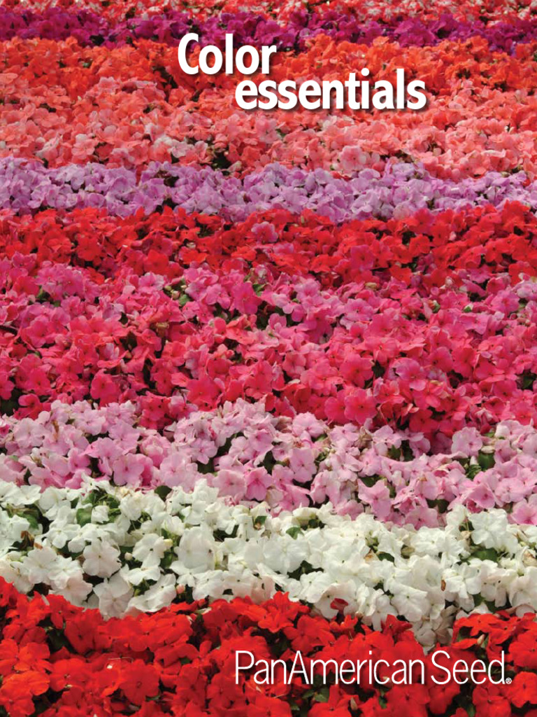 Color essentials | PDF | Rose | Flowers