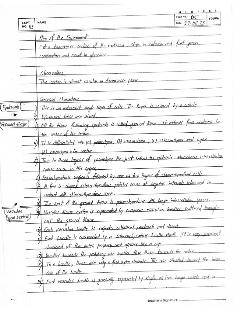 Canna_Stem (1) | PDF