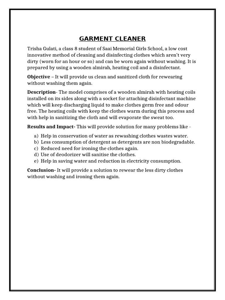 Garment Cleaner Project | PDF