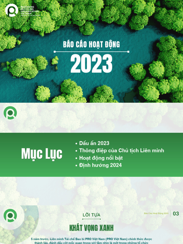 PROVN Bao Cao Hoat Dong 2023 | PDF
