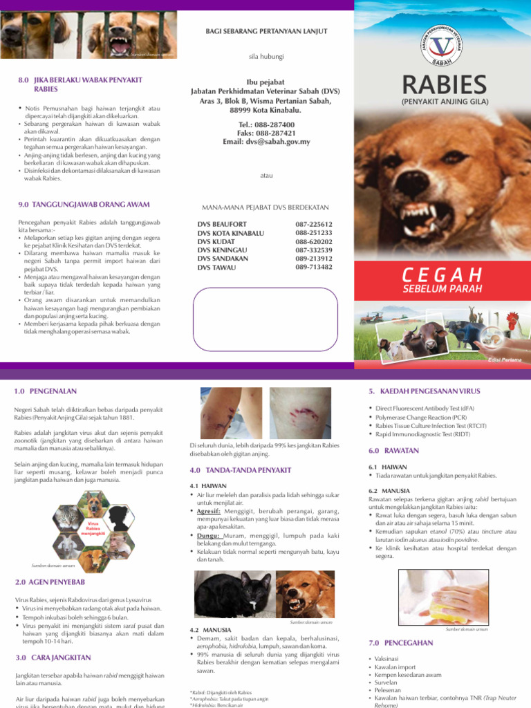 Rabies Flyer 2019 | PDF