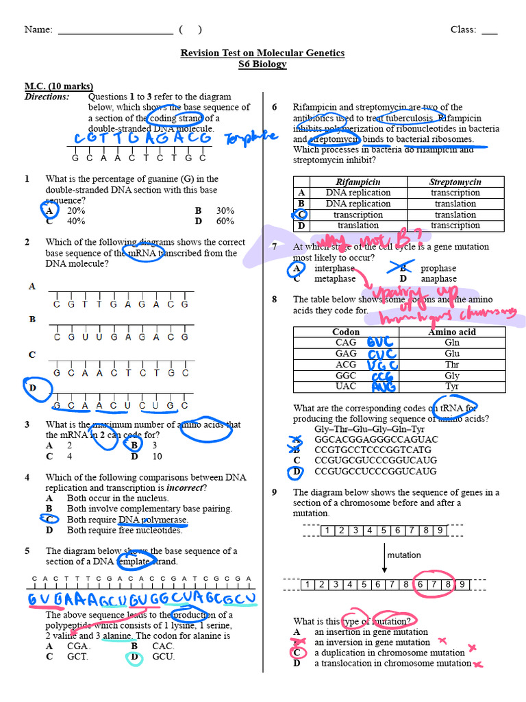 Revision Test On Molecular Genetics | PDF | Translation (Biology) | Gene