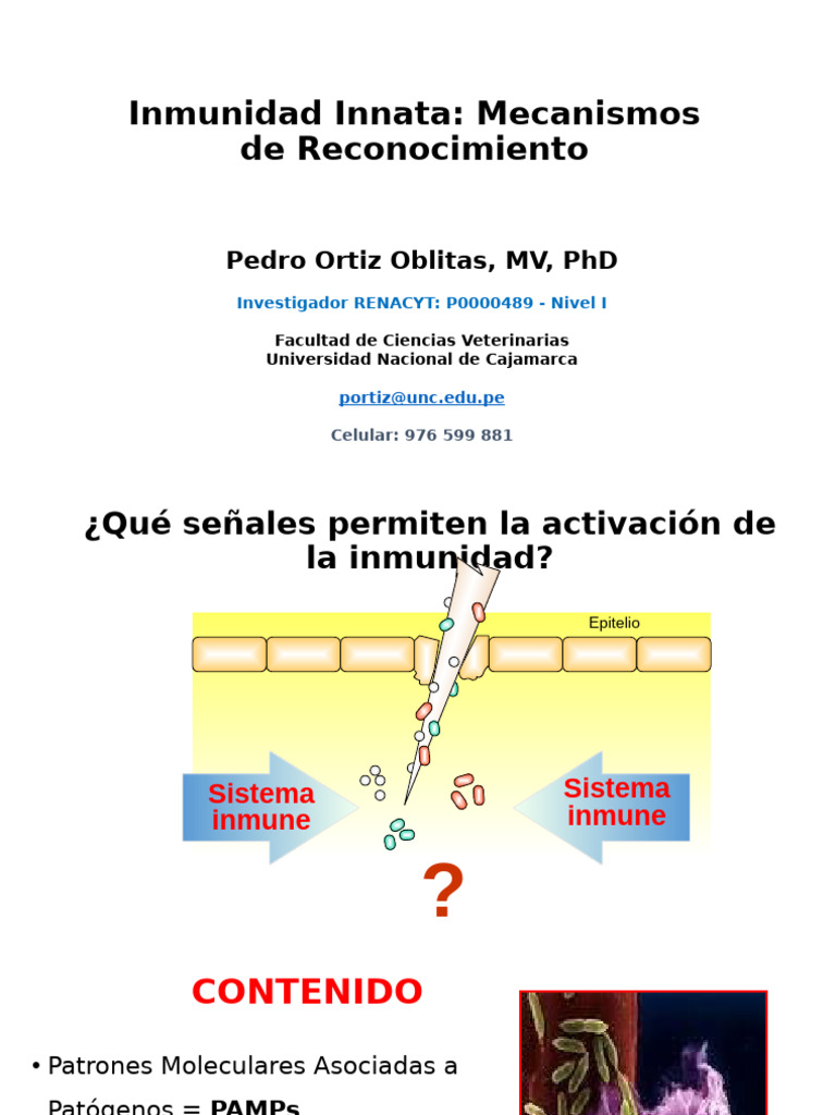 5 Inmunidad Innata Mecanismos de Reconocimiento | PDF | Receptor de peaje | Sistema inmune