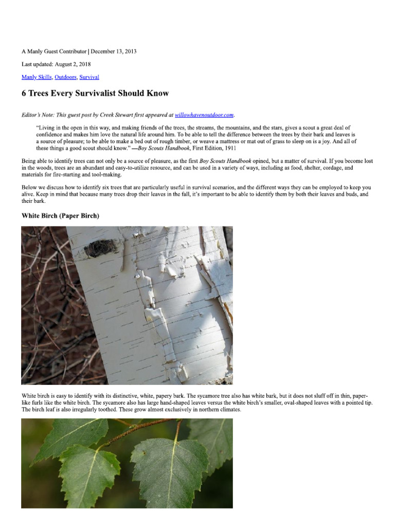 6 Trees Every Survivalist Should Know | PDF