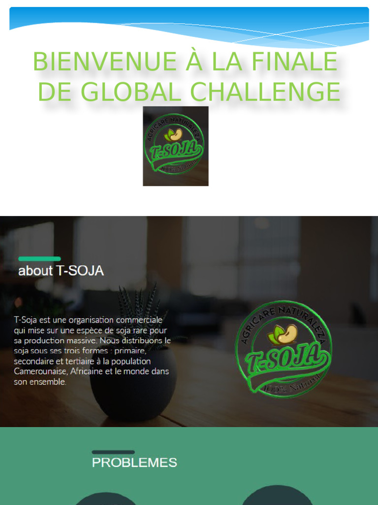 Bon PPT T-Soja | PDF