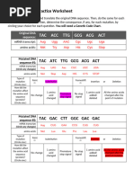 Protein Synthesis Race Worksheet | PDF | Translation (Biology ...