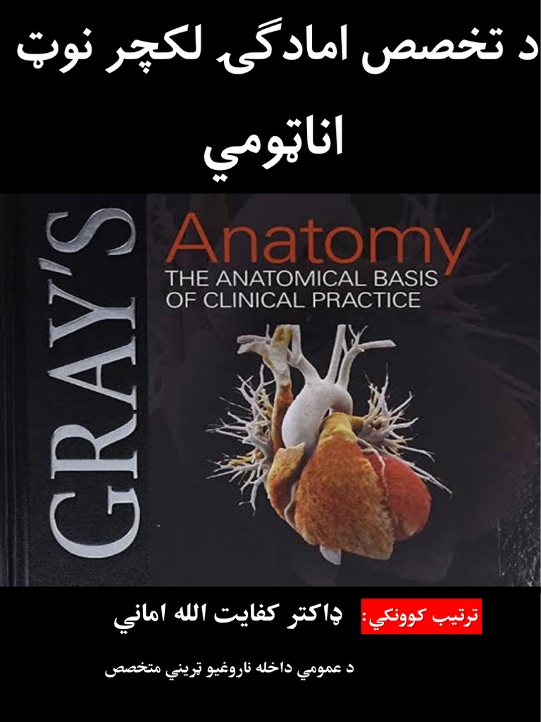 Anatomy (1) | PDF