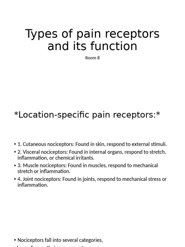 Types of Pain Receptors and Its Function | PDF | Nervous System ...