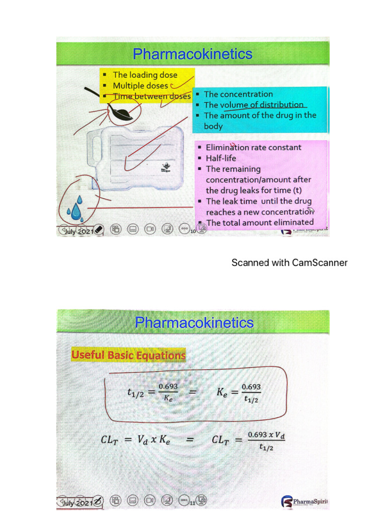 Calculations Slides Overview | PDF