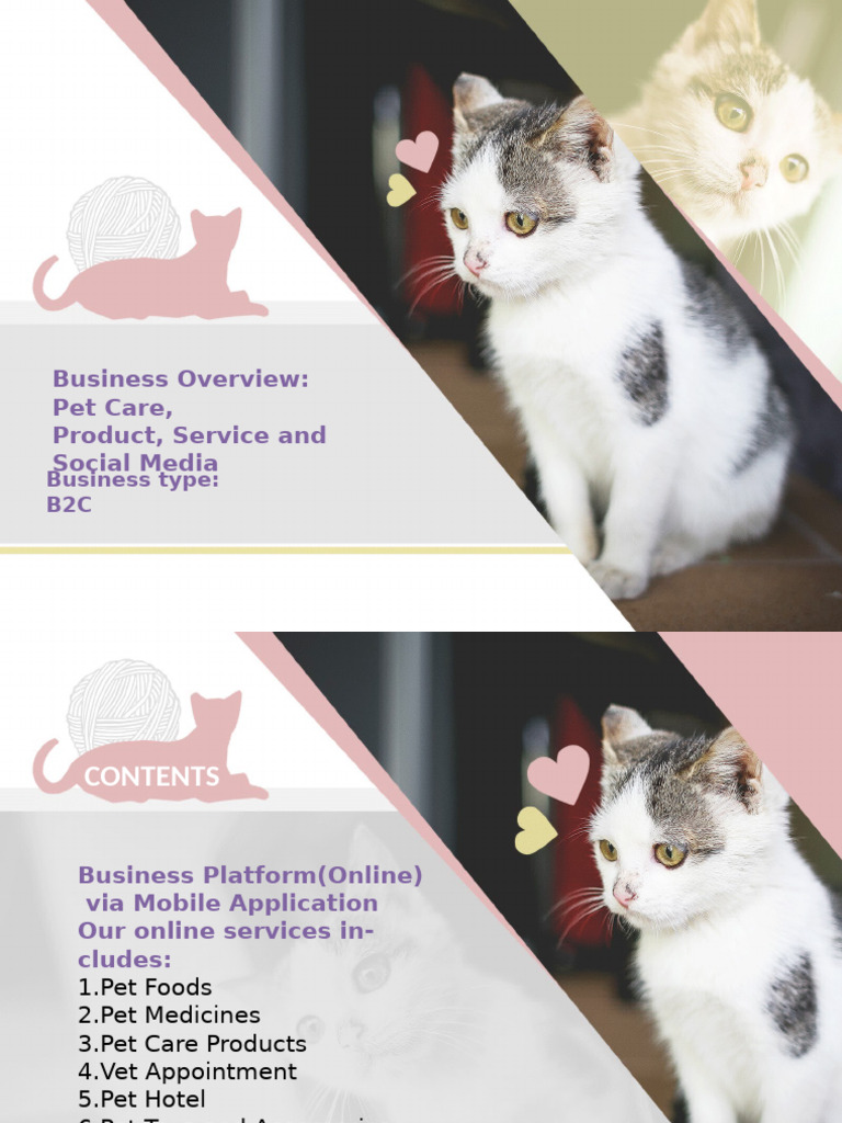 EasyVet: Katy Vet Service Insights | PDF | Market Segmentation | Mobile App