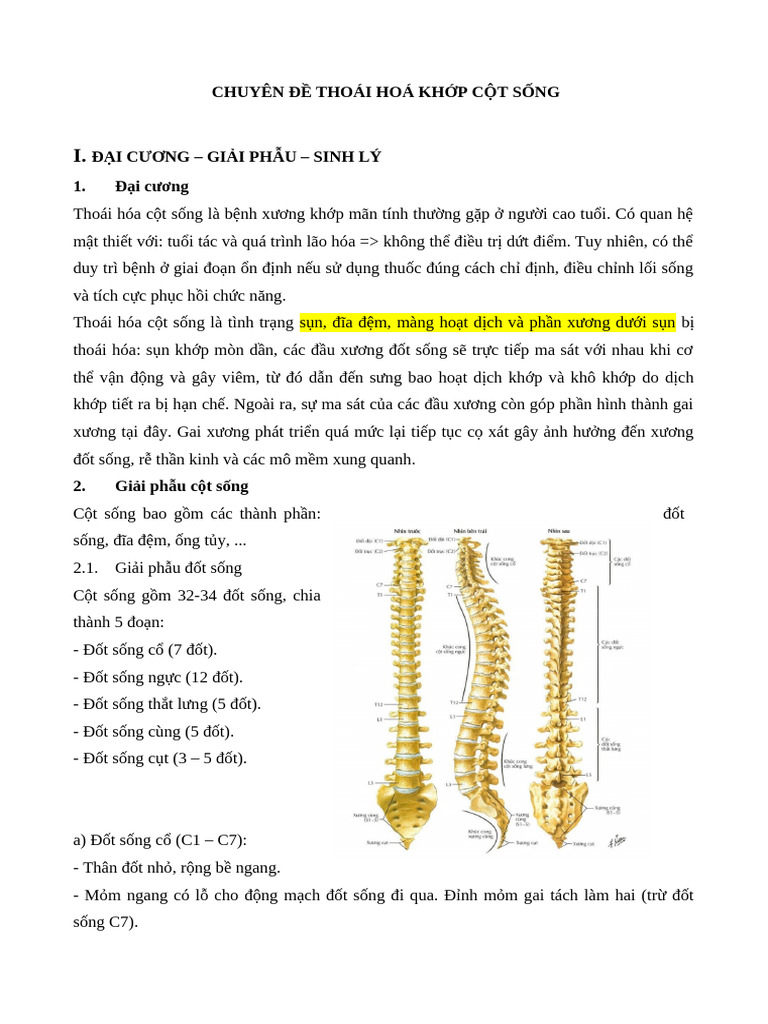 Chuyên đề thoái hoá khớp cột sống | PDF