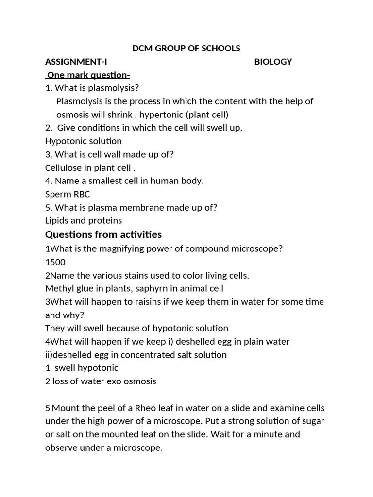 DCM Group of Schools | PDF