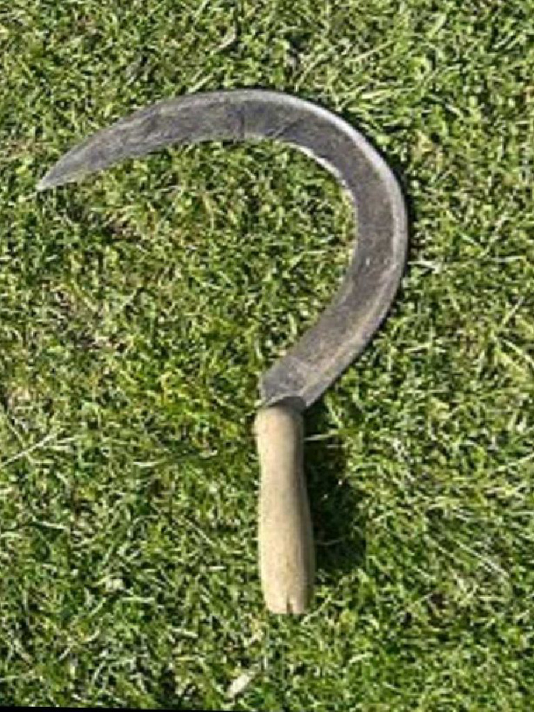 Scanned_20241025_221007 | PDF