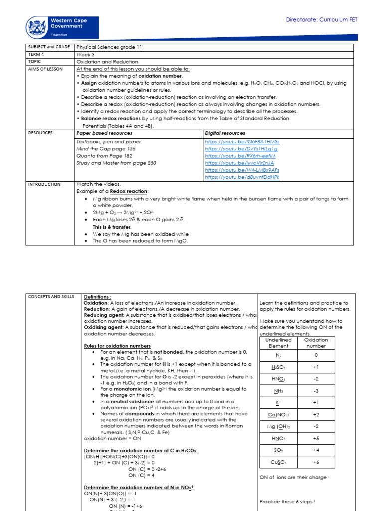 Physical Sciences Grade 11 Term 4 Week 3 - 2020 | PDF | Redox | Ion