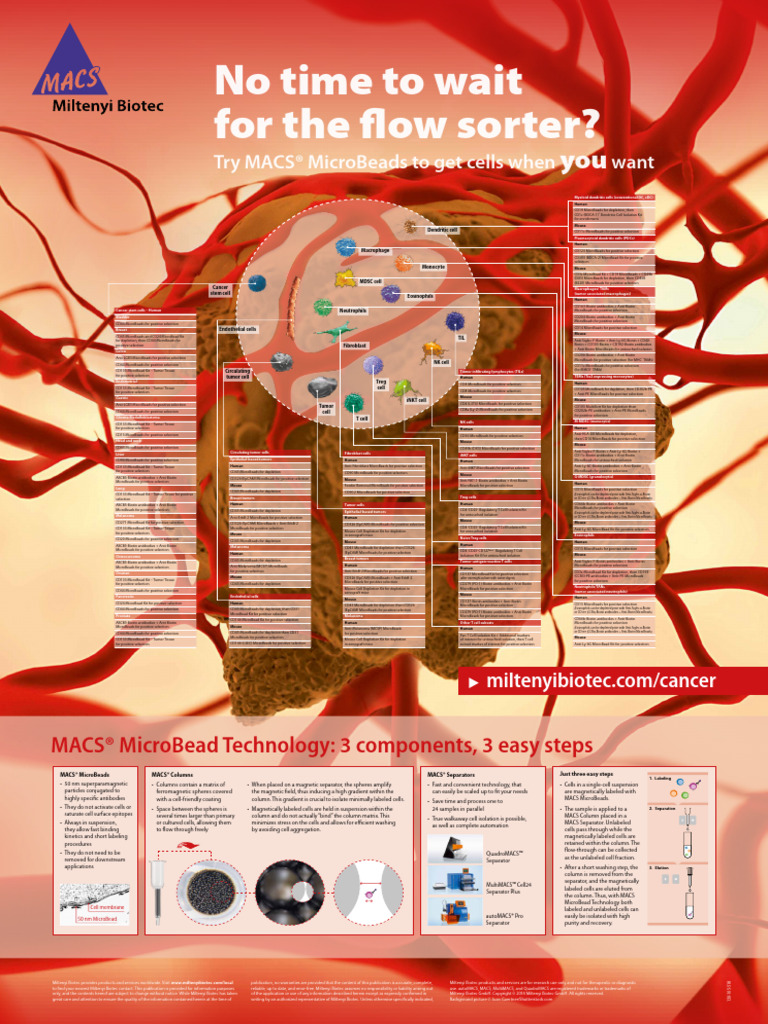 Cancer Poster Cell Separation - 130-105-518 | PDF | Dendritic Cell ...