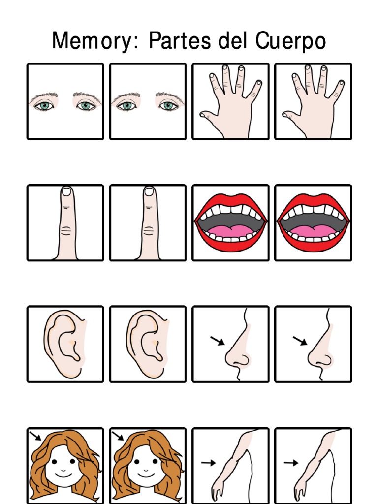Memory Partes Del Cuerpo | PDF