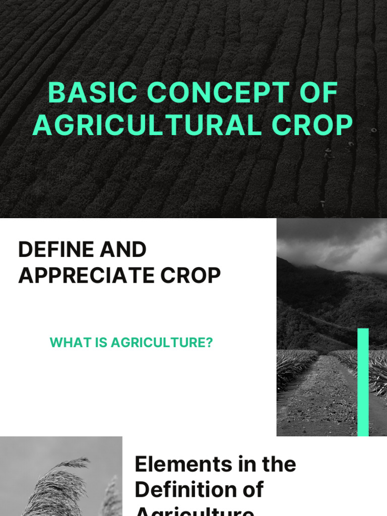 Lesson 1 - Basic Concep of Agri | PDF | Agriculture | Plants
