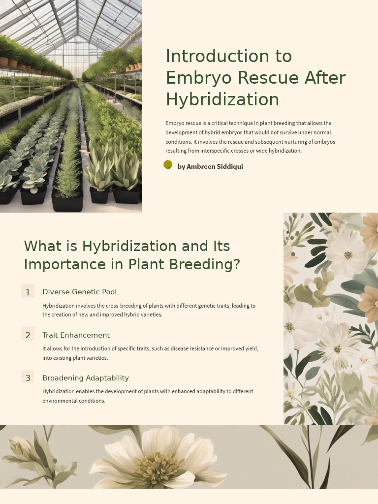 Introduction To Embryo Rescue After Hybridization | PDF | Plant ...