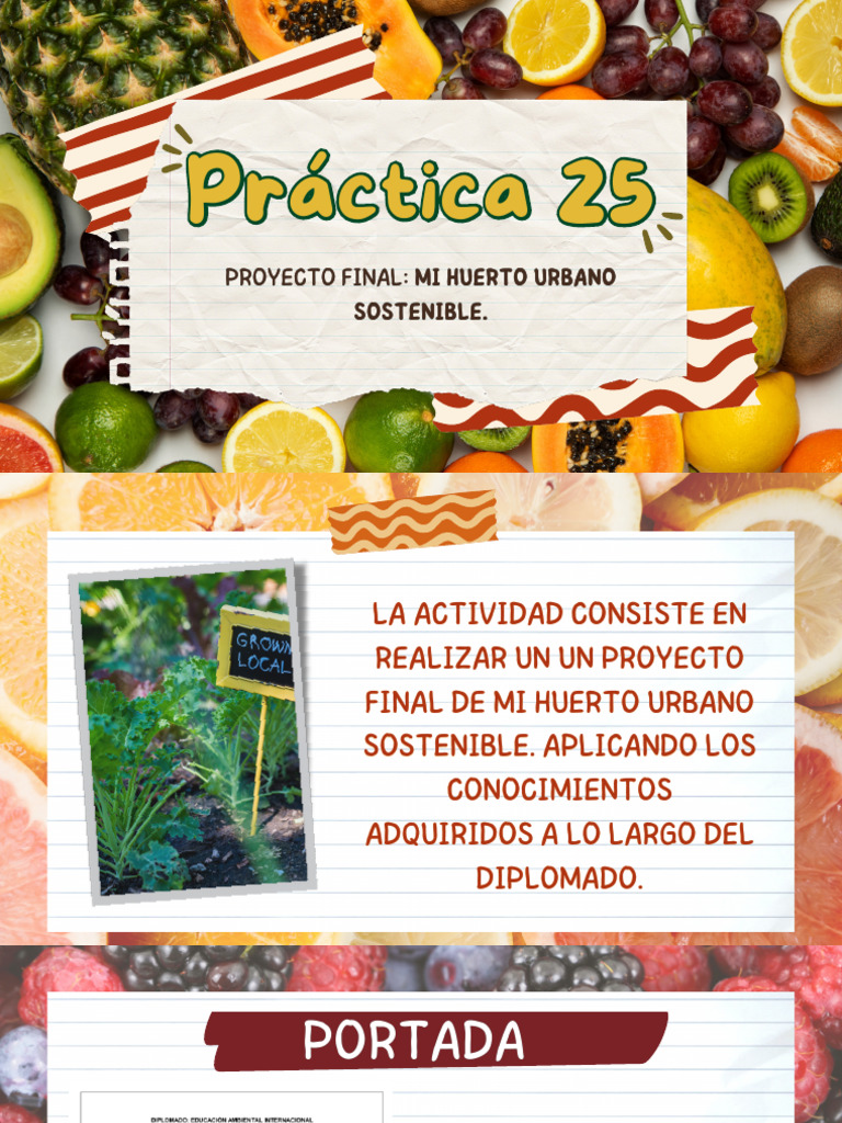 Proyecto Final | PDF