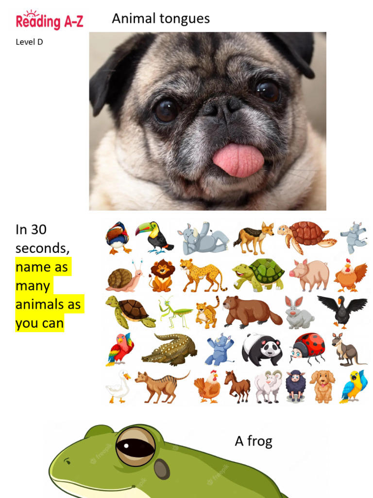 D Animal Tongues LP | PDF