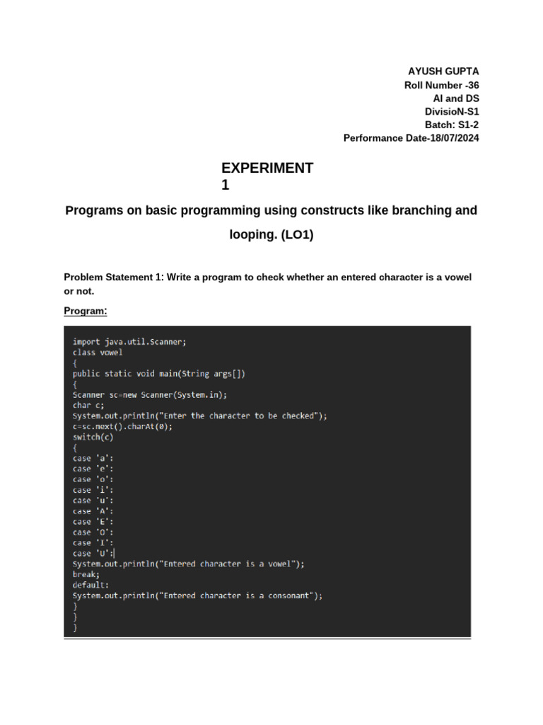 Basic Programming Constructs Guide | PDF