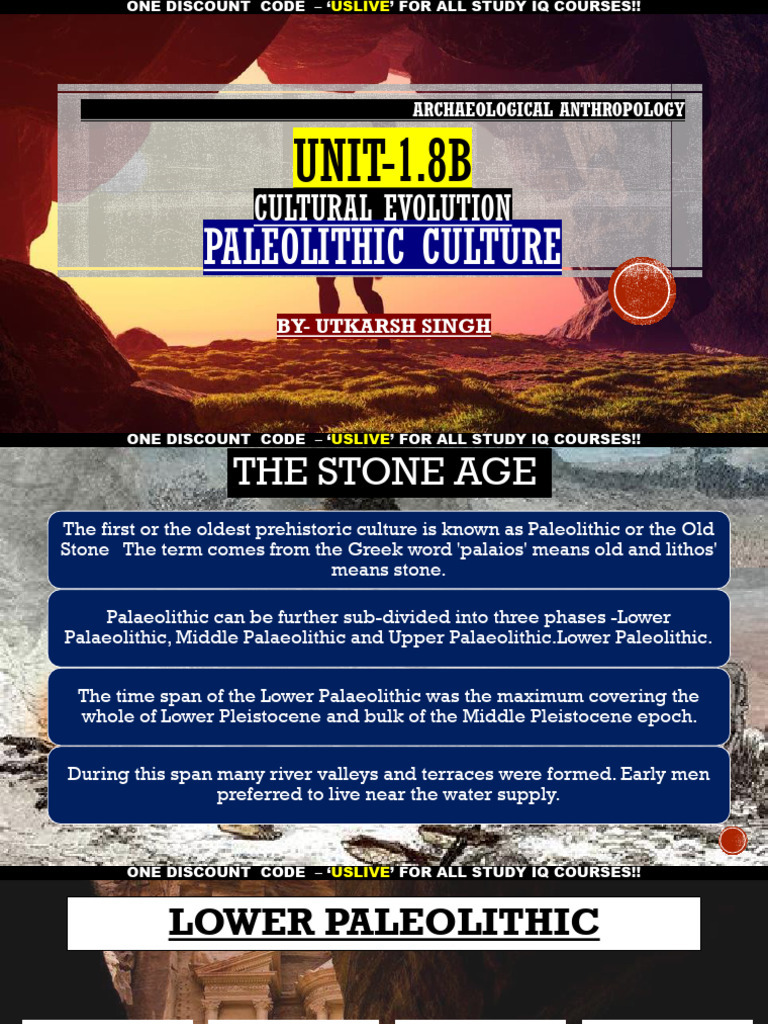 Unit - 6b Palaeolithic Cultures | PDF | Paleolithic | Stone Age