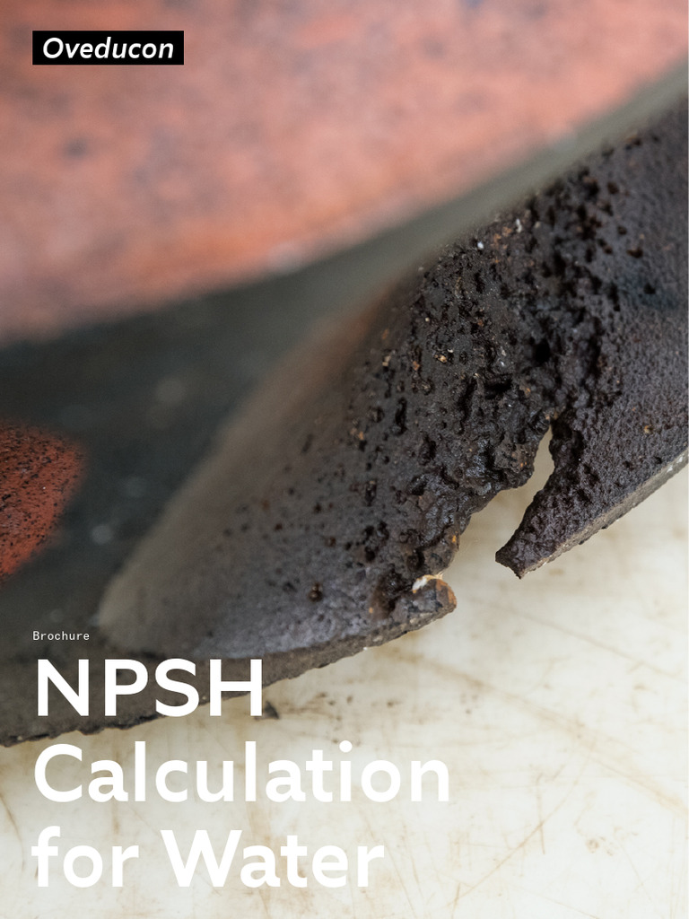NPSH Calculation For Water | PDF