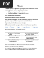 Tissues Class 9 Notes | PDF | Epithelium | Tissue (Biology)