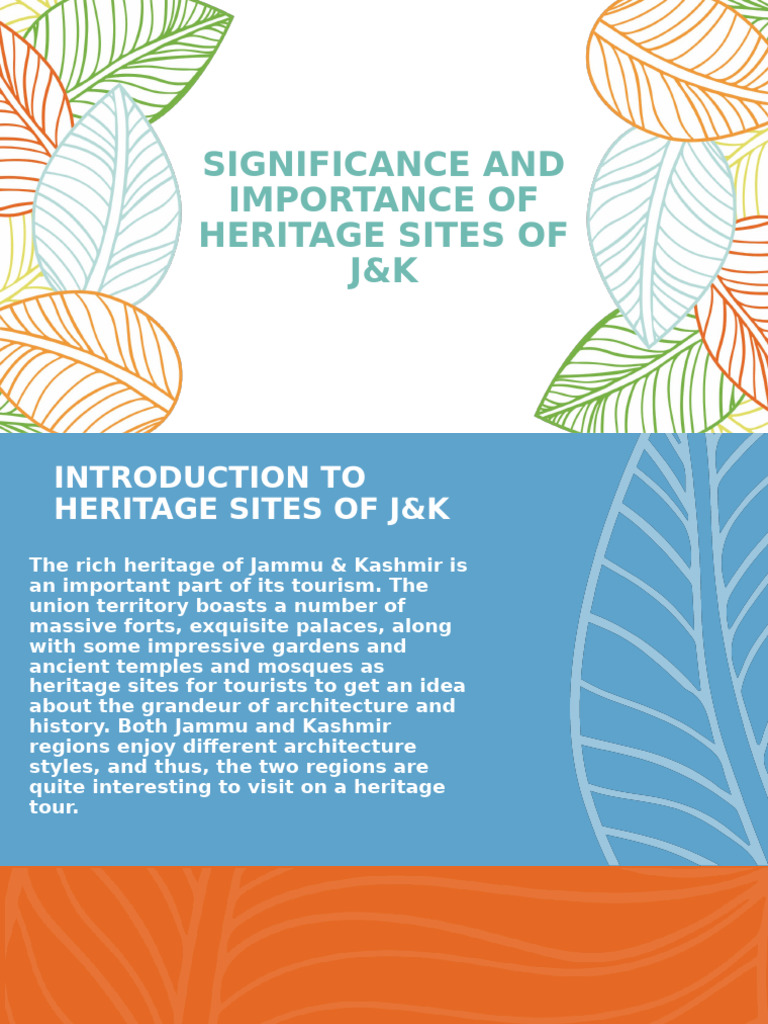 Manya Didwal Bba | PDF | Kashmir