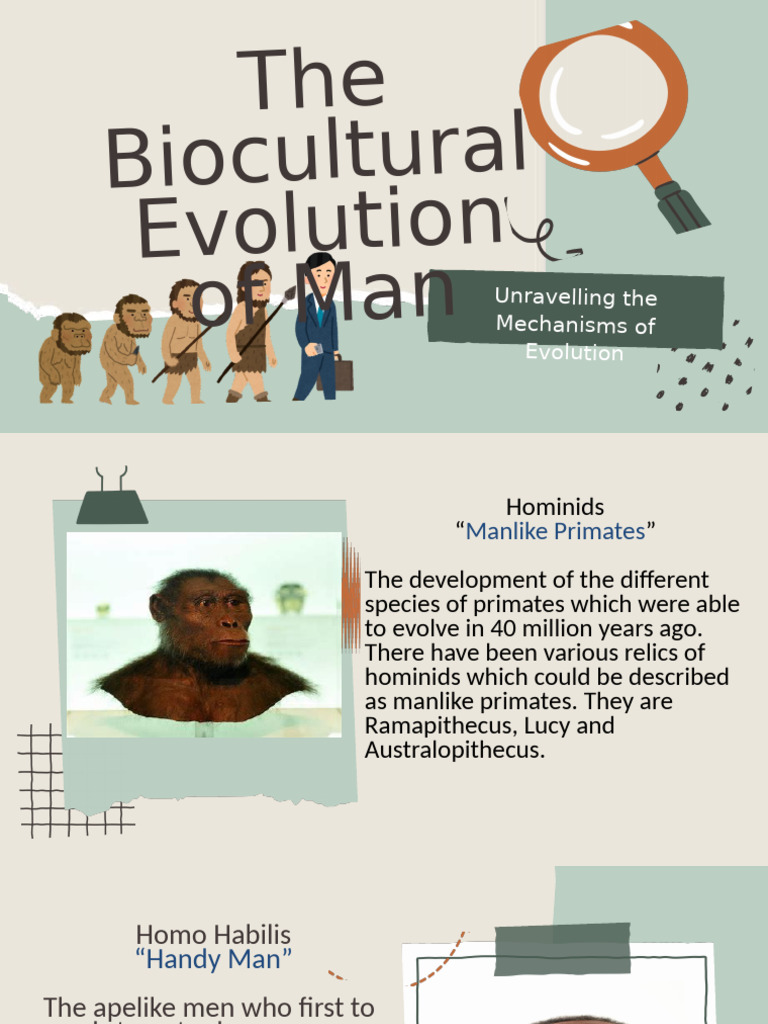 Evolution and Cultural Development | PDF | Homo | Paleolithic