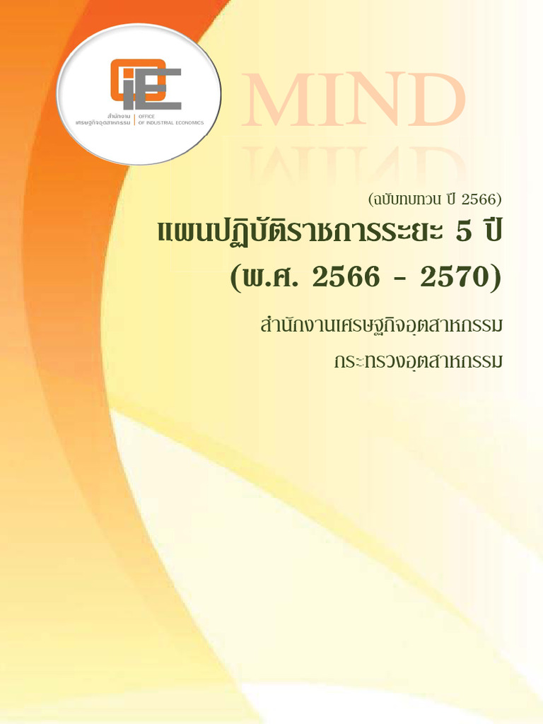 Final Plan 5Y-OIE | PDF