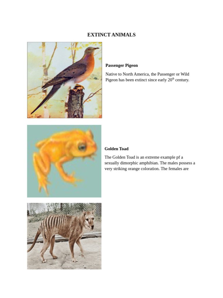 Passenger Pigeon | PDF | Extinction | Organisms