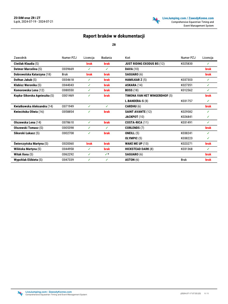 File 11023 Braki W Dokumentacji ZR | PDF