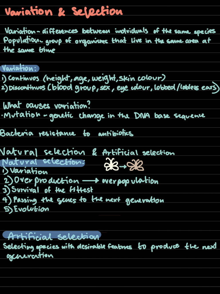 Variation and Selection IGCSE | PDF