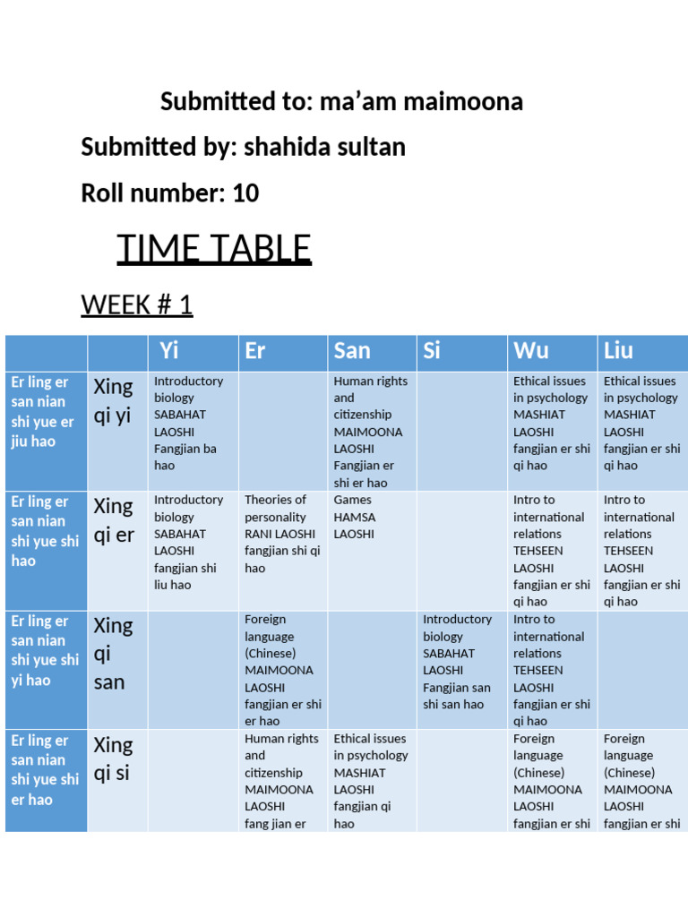 Shahida Sultan (Chinese Assignment) | PDF | Social Science