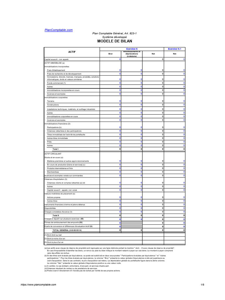 Modèle de Bilan Comptable Développé | PDF | Capitaux propres ...