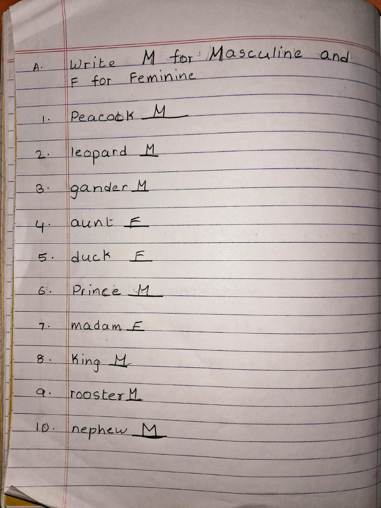 English - Lang Revision | PDF