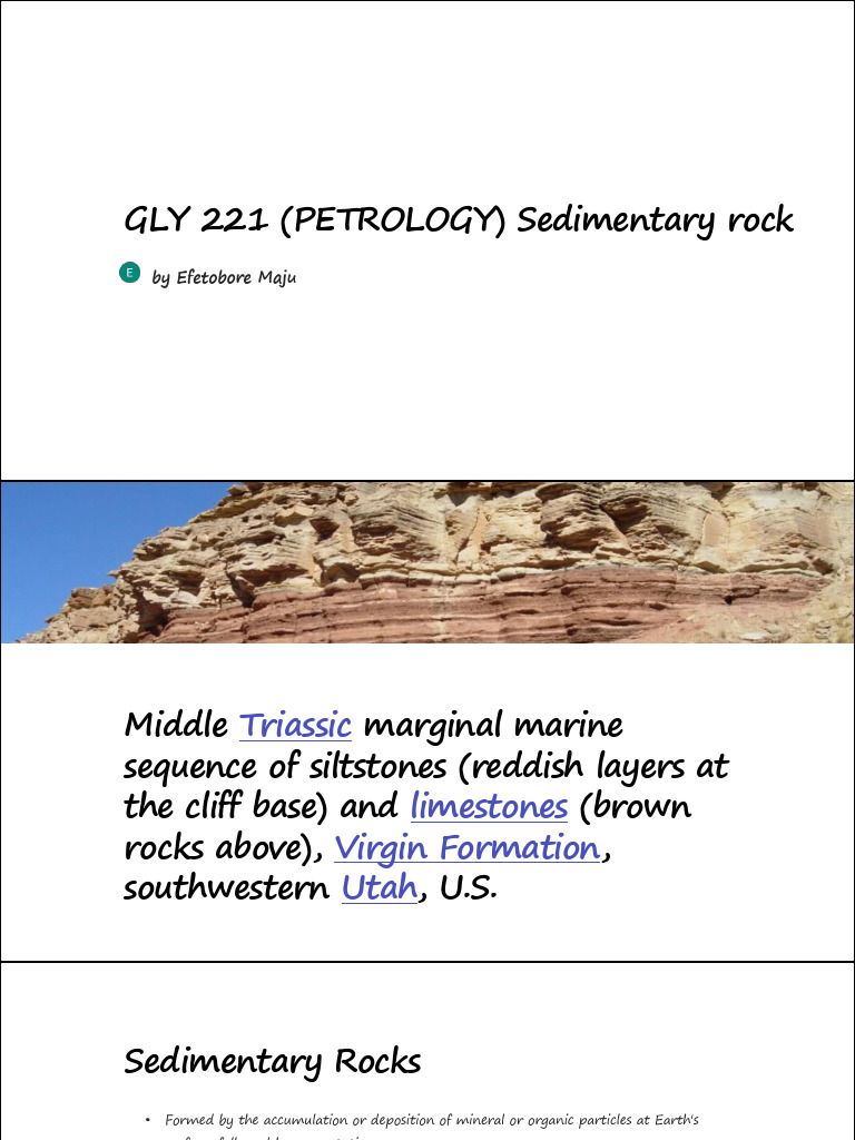 GLY 221 PETROLOGY Sedimentary Rock | PDF | Clastic Rock | Sandstone